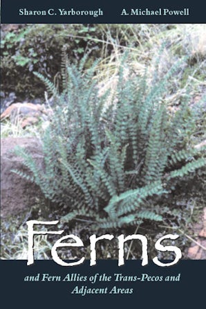 Ferns and Fern Allies of the Trans-Pecos and Adjacent Areas- Texas Tech ...